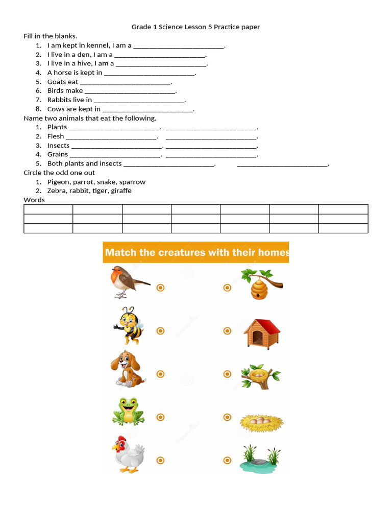 Grade 1 Science Lesson 5 Worksheet | PDF