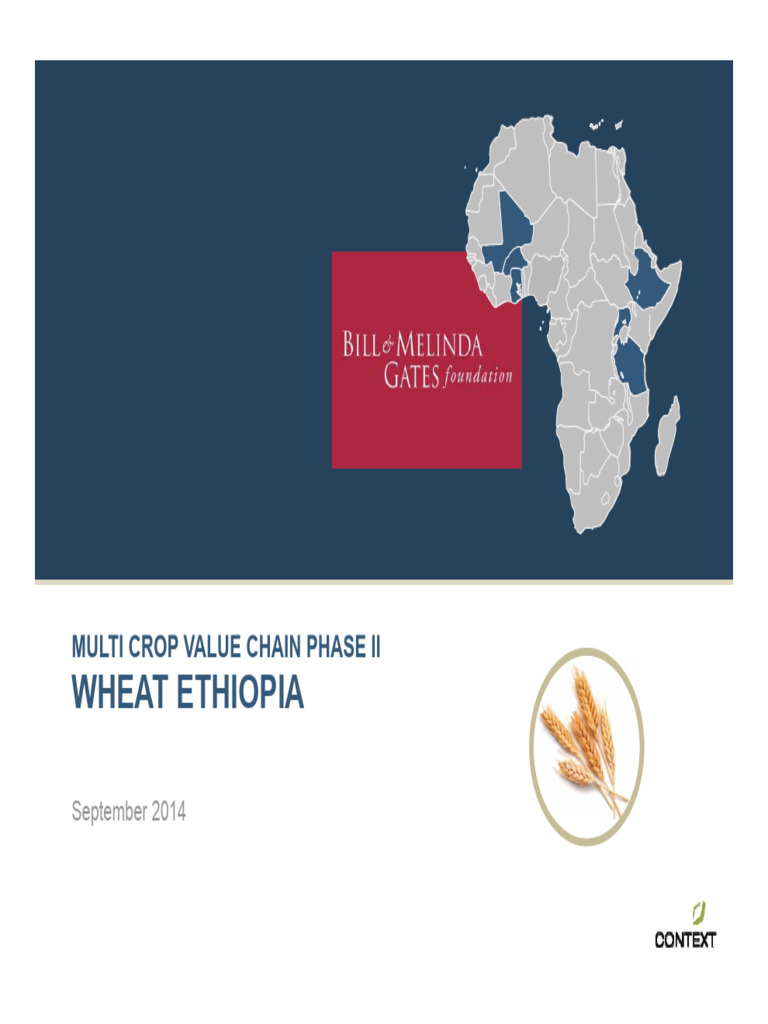 Wheat Ethiopia: Multi Crop Value Chain Phase Ii | PDF | Wheat | Economies