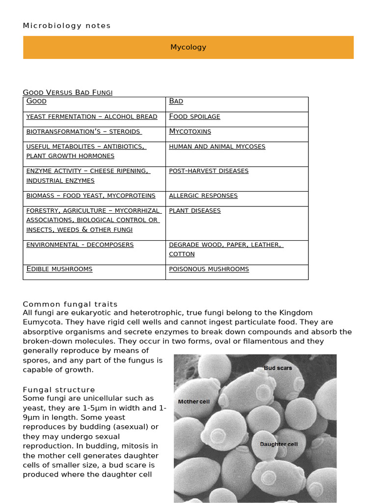 Microbiology Notes - Mycology | PDF | Fungus | Cell Membrane