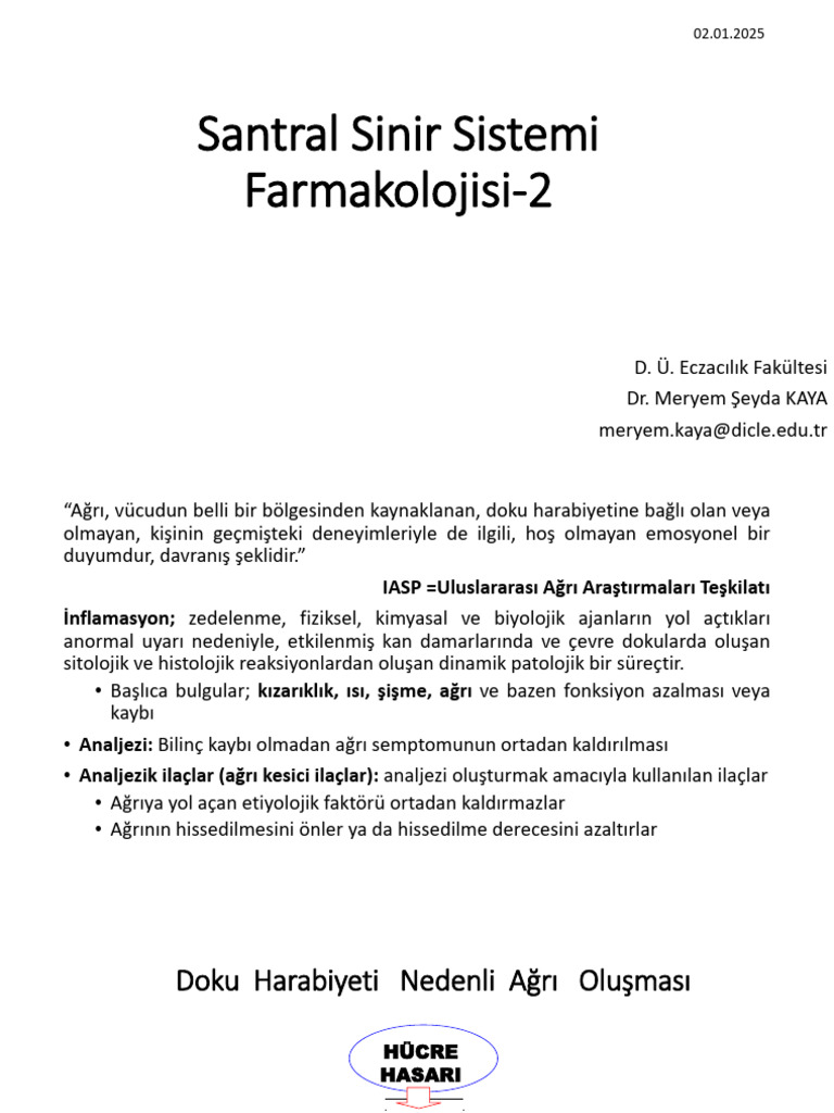 Hemş - Sss 2 | PDF