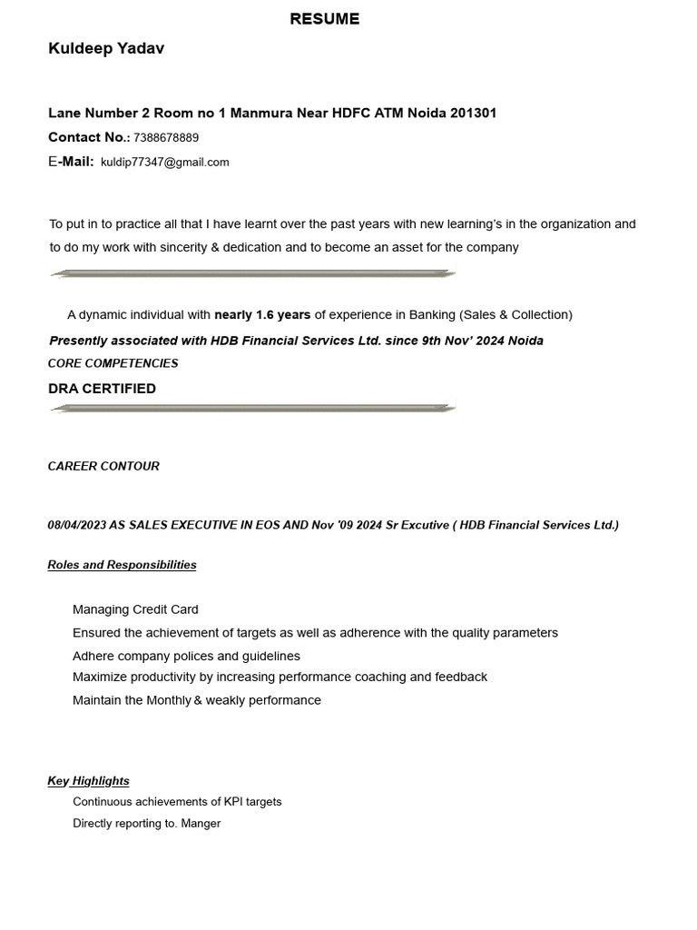Kuldeep Yadav's Professional Resume | PDF