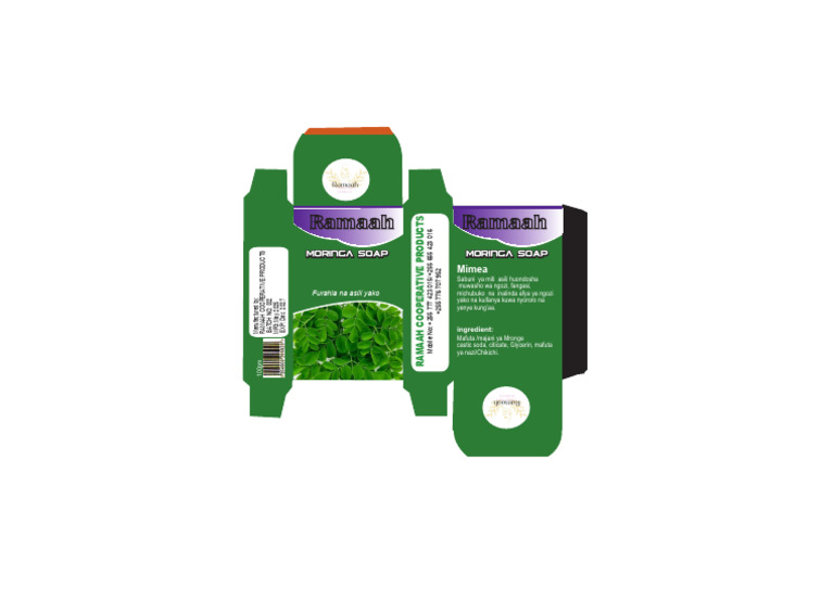 Moringa BOX 100 GM | PDF