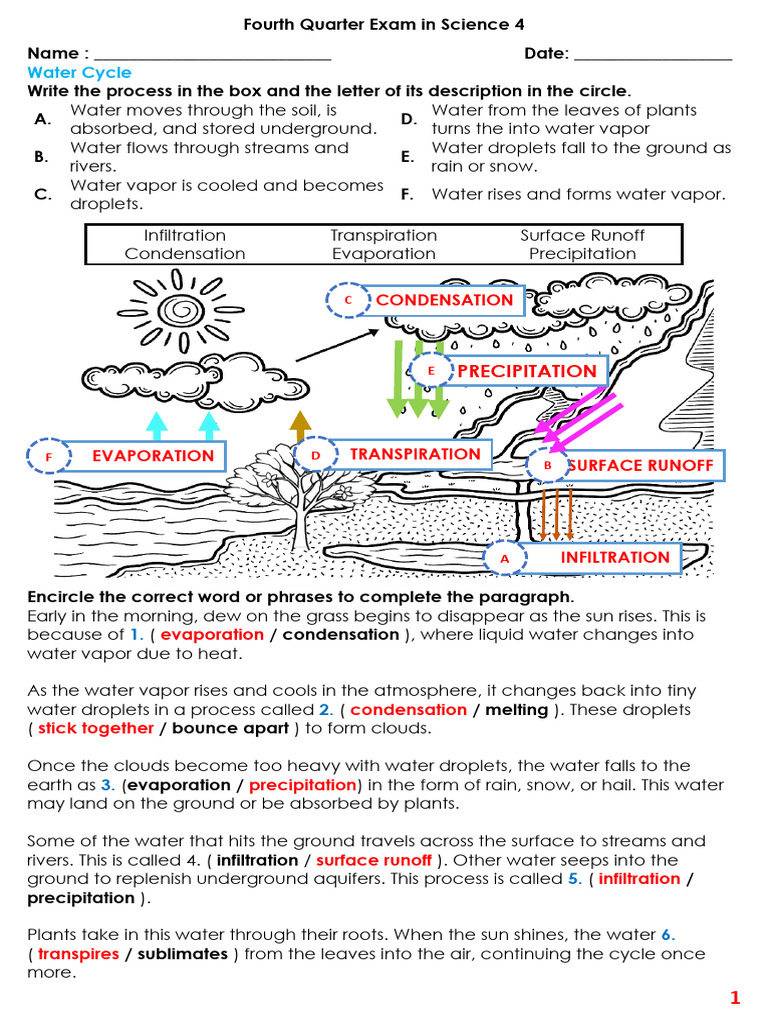 g4 Science Fourth Quarter Exam Sy2425 Answer Key | PDF | Sun | Water Cycle