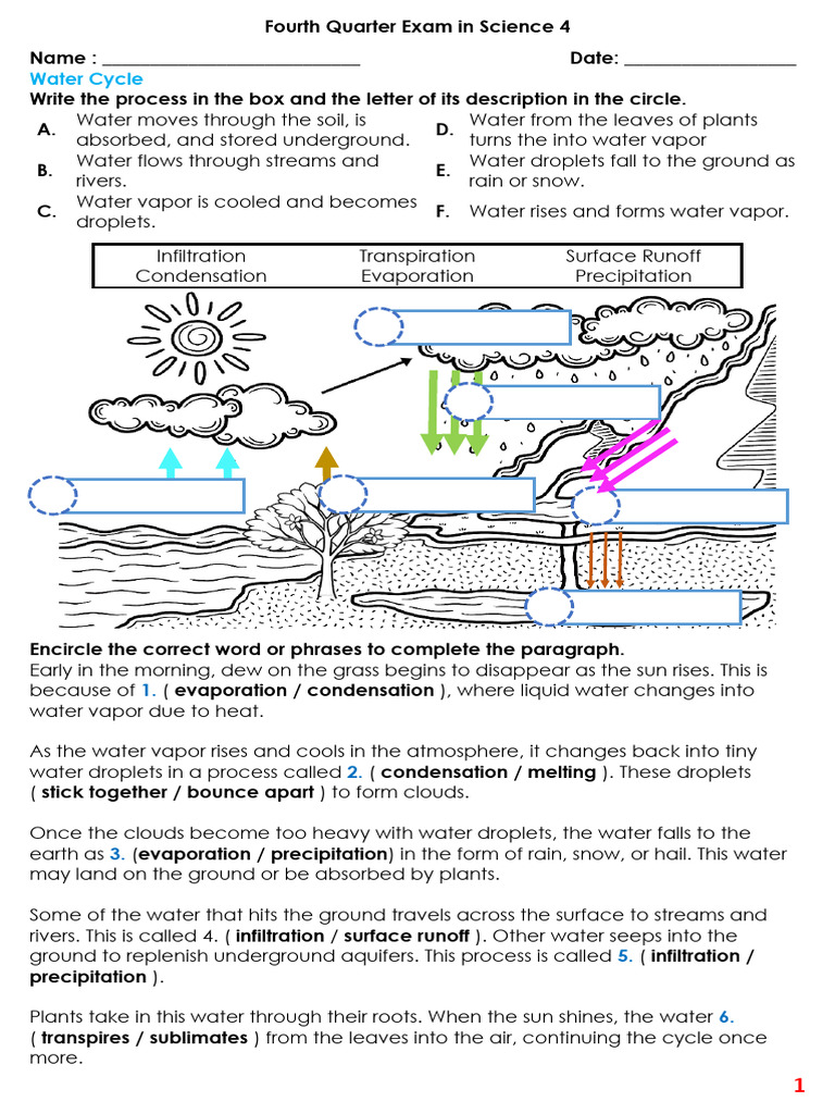 g4 Science Fourth Quarter Exam Sy2425 Questionnaire | PDF | Sun | Water ...