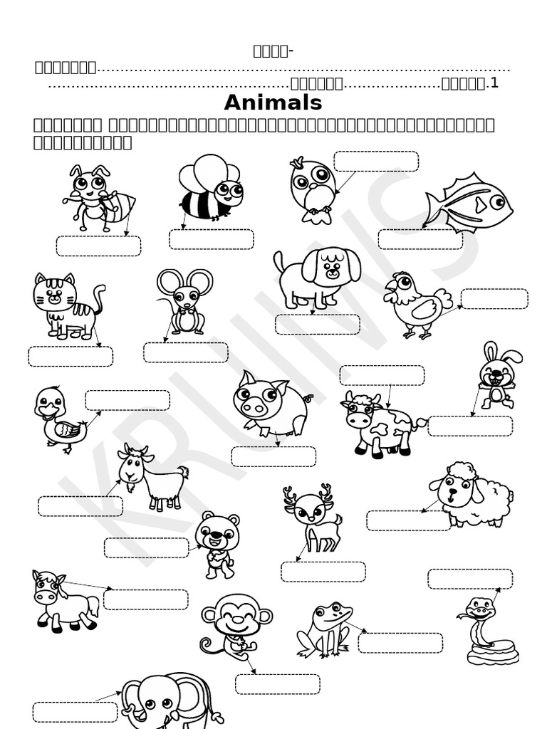 P.1 - Animal | PDF