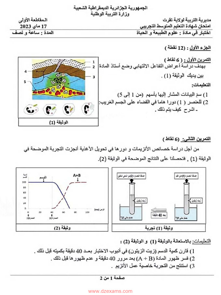 Dzexams 4am Sciences Naturelles 657117 | PDF
