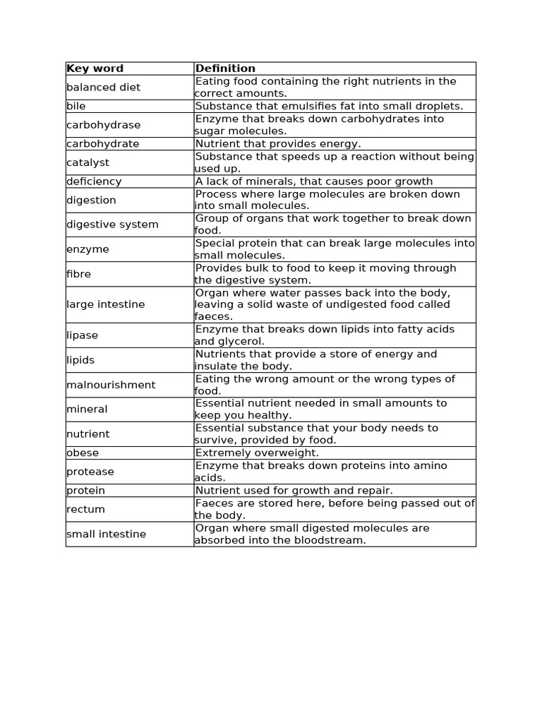 Diet and Digestion Key Words | PDF