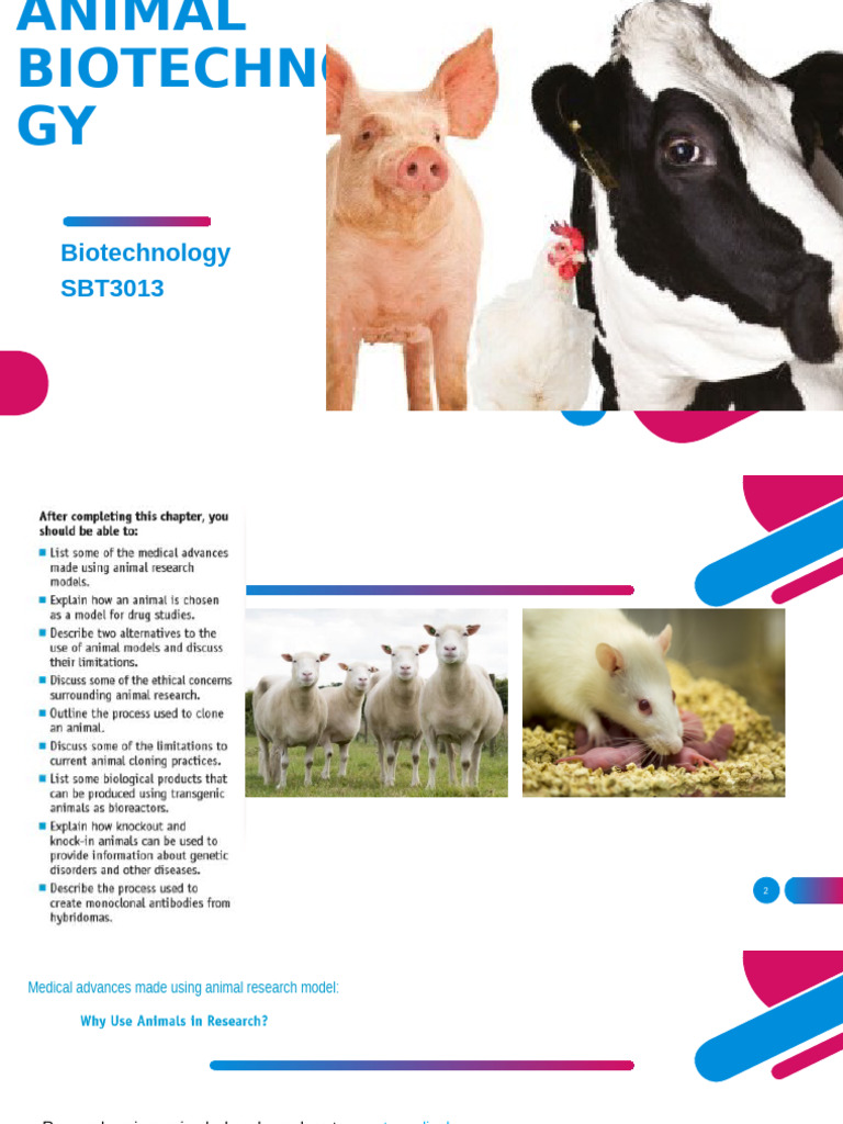 04 - Animal Biotechnology | PDF | Cloning | Animal Testing