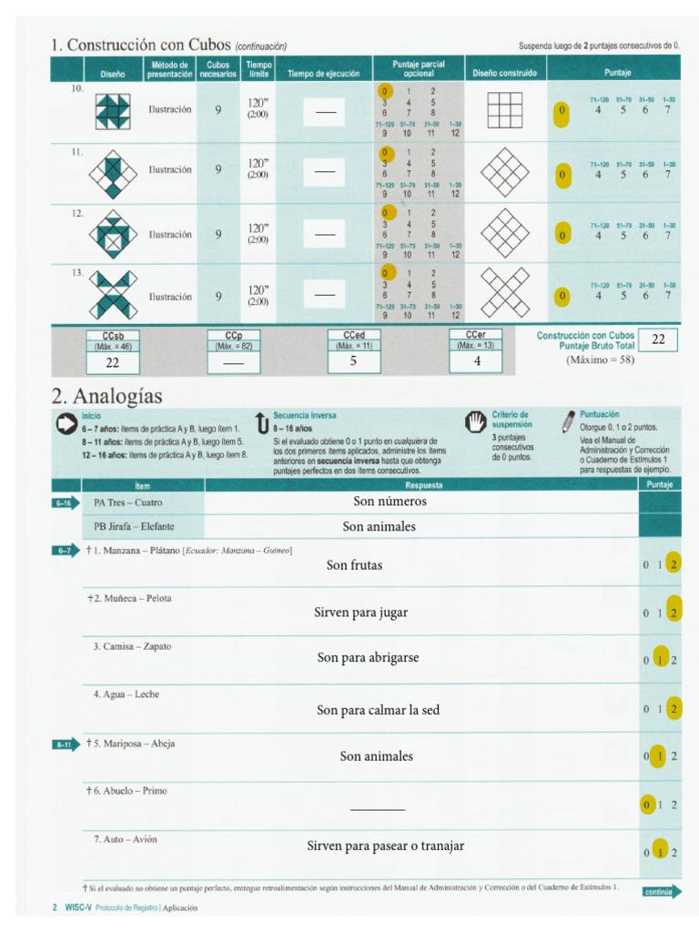 Informe Completo Del Wisc - V Aplicado A Un Niño de 9 Años - Organized | PDF