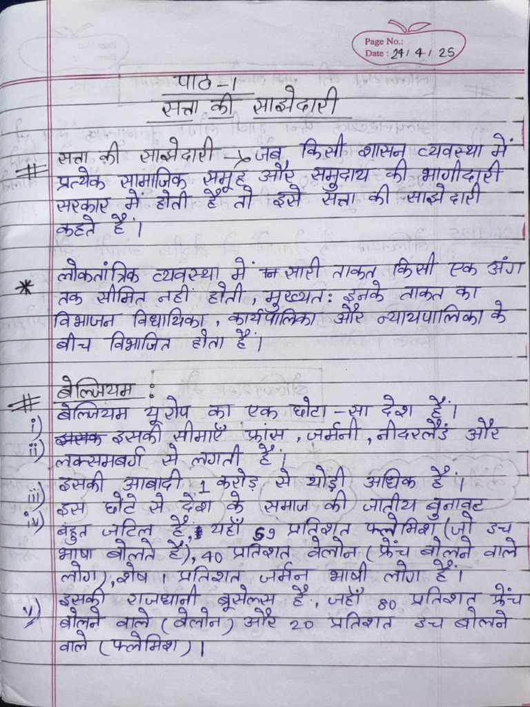 Class 10 Civics Chapter 1 Notes | PDF