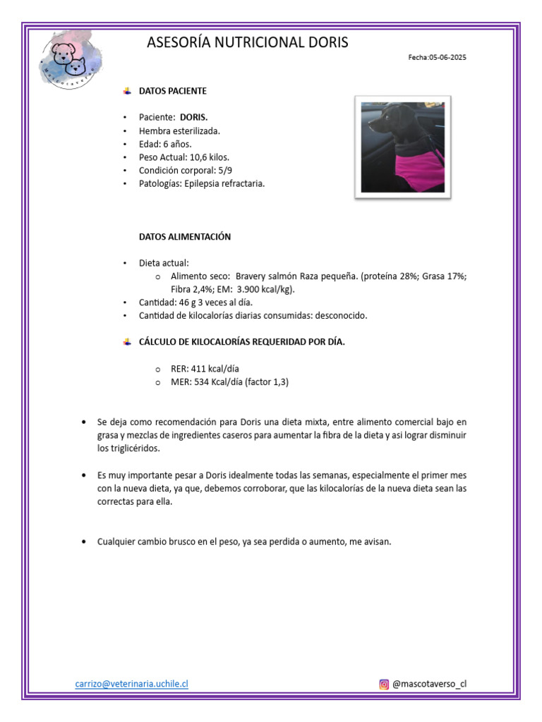 Informe Nutricional Doris | PDF | Dieta | Alimentos