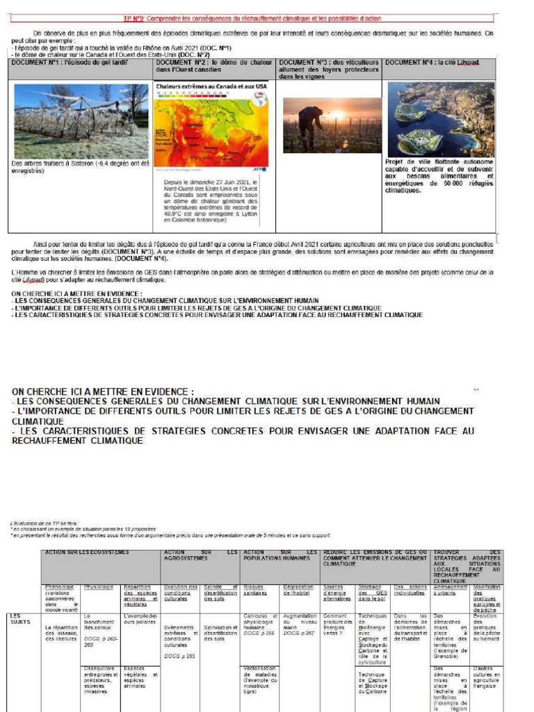 Documentts TP N°9 | PDF
