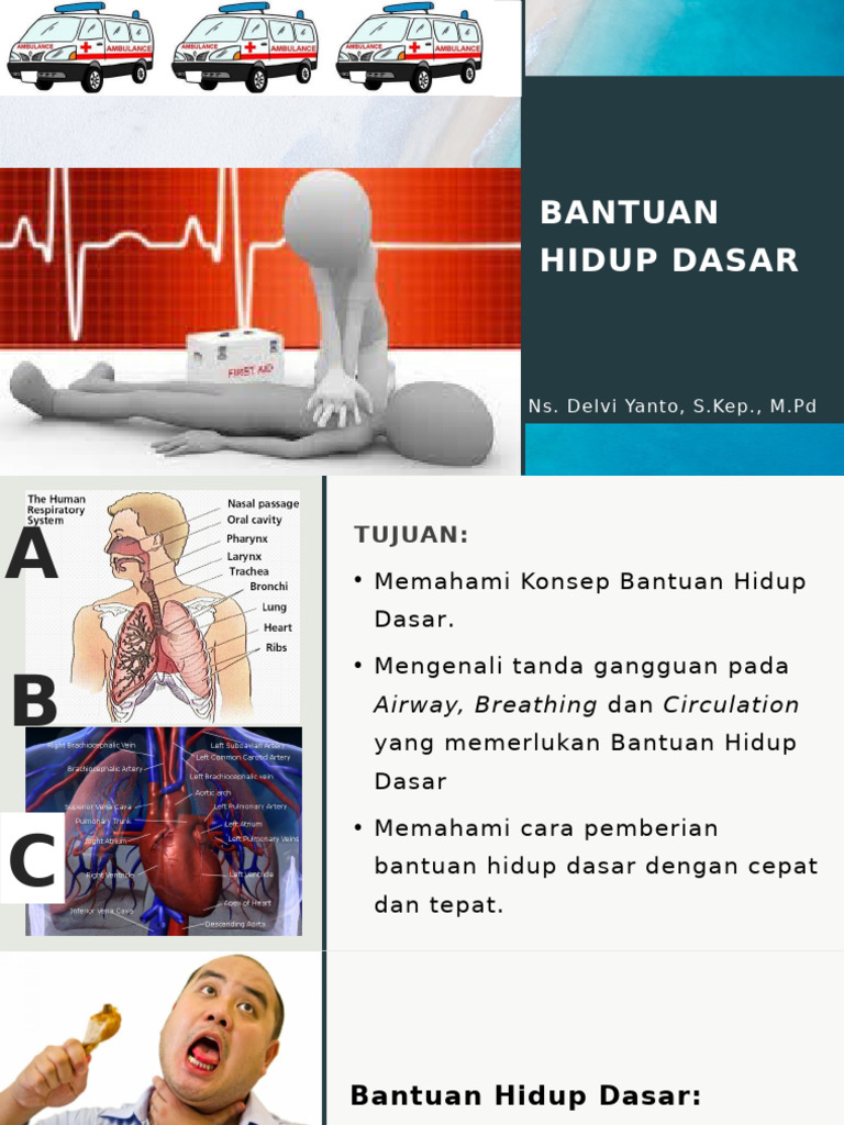 BLS Als | PDF