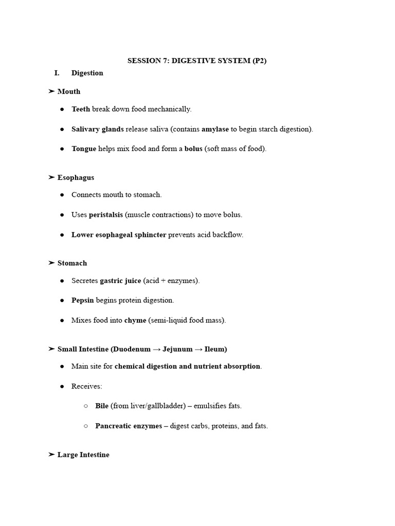 Digestive System Overview and Pathologies | PDF | Digestion ...