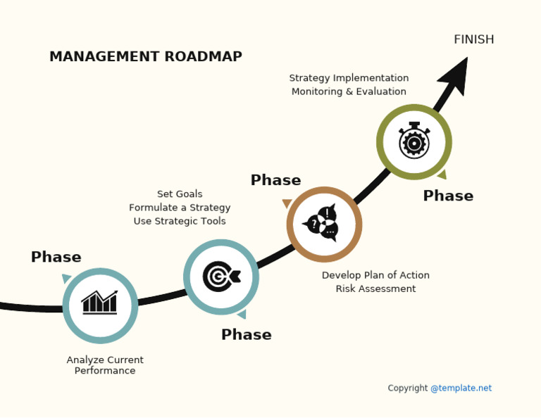 Management Roadmap for Strategy Implementation | PDF