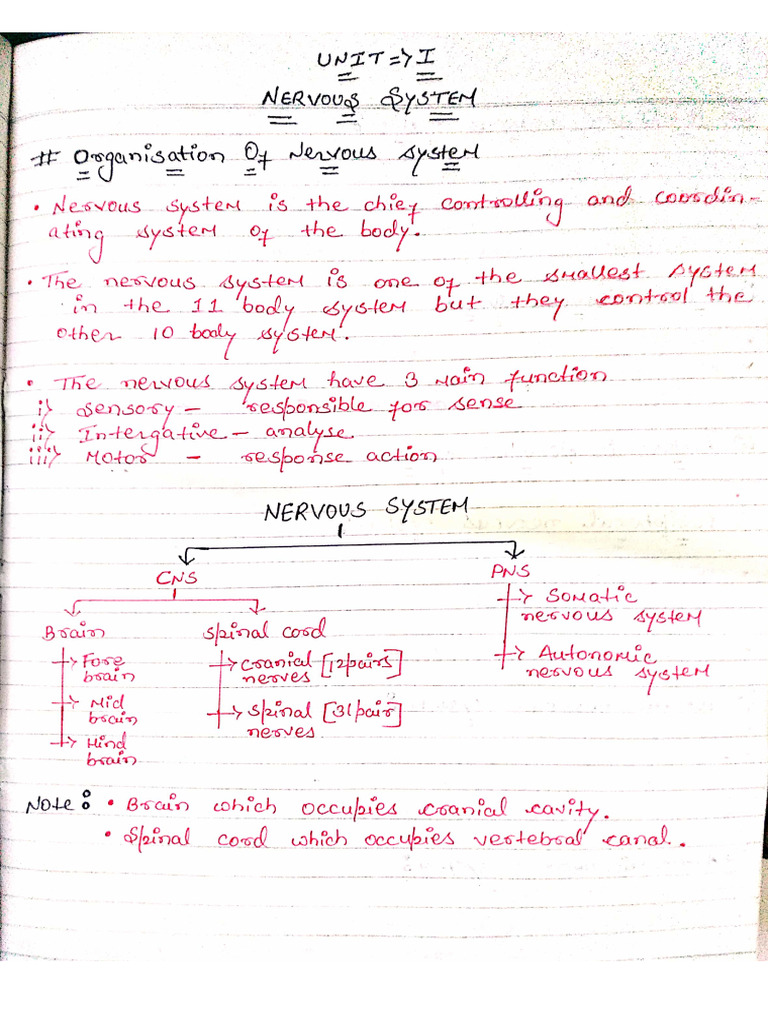 Pharmacy HAP 2 Unit 1 | PDF