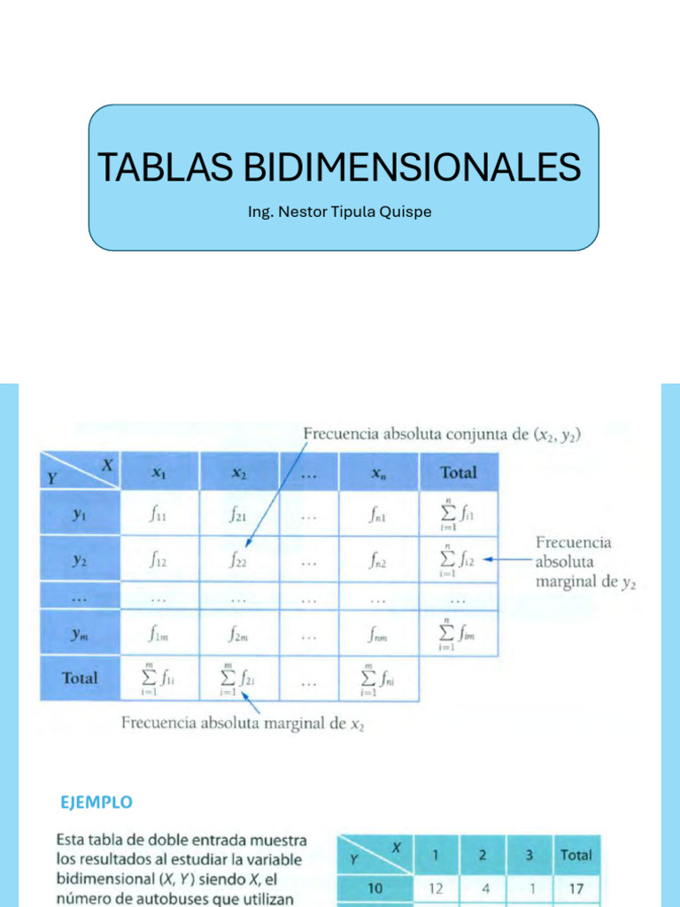 TABLAS BIDIMENSIONALES[1] | PDF