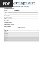 Intern Journal Template | PDF