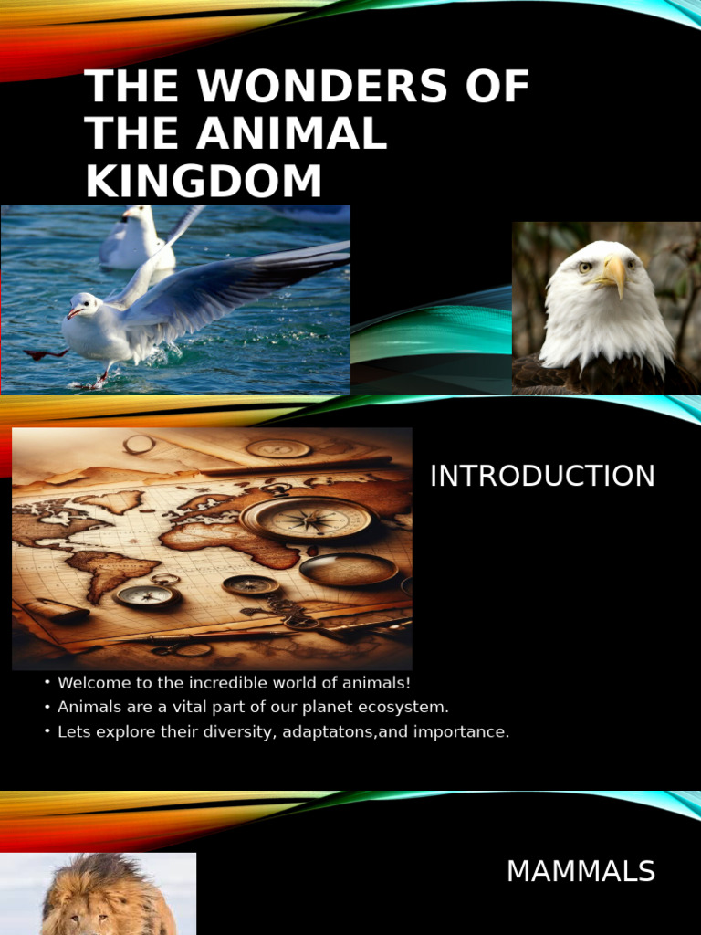 The Wonders of The Animal Kingdom | PDF