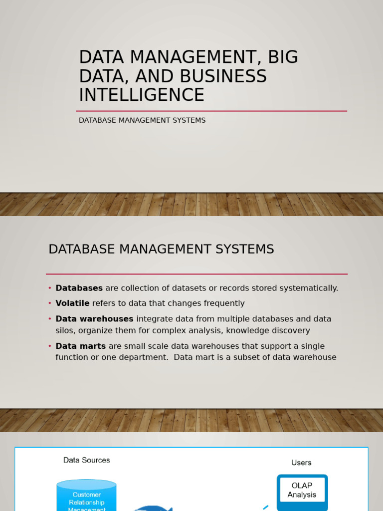 Data Management and Business Intelligence | PDF | Databases | Data ...