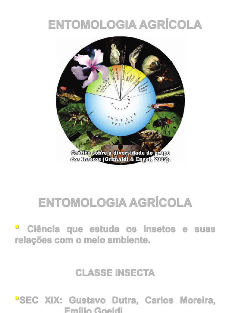 I Classe Insecta | PDF | Taxonomia (Biologia) | Espécies