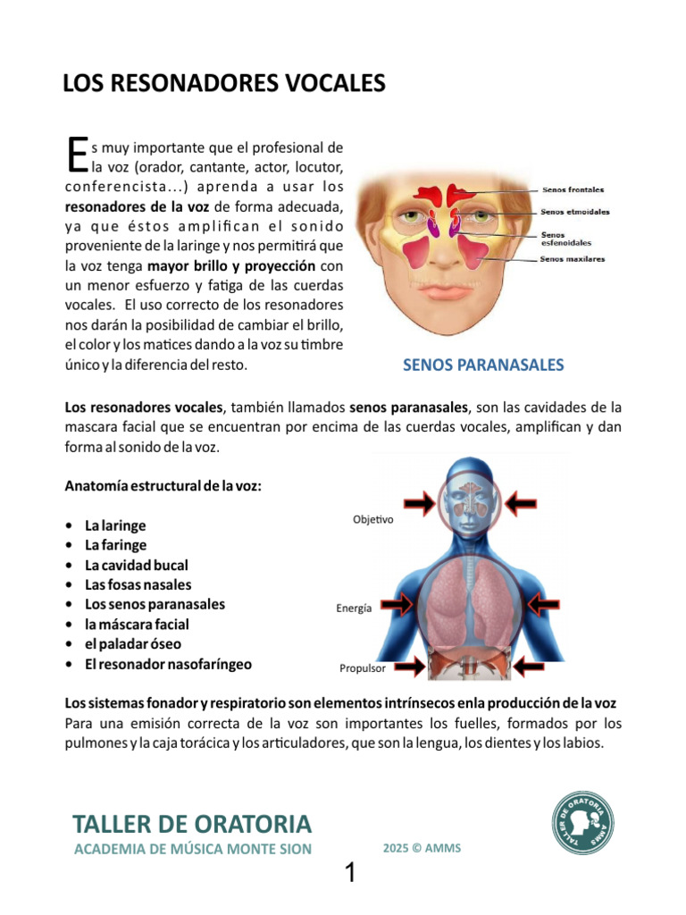 Uso de Resonadores Vocales en la Voz | PDF | Otorrinolaringología ...