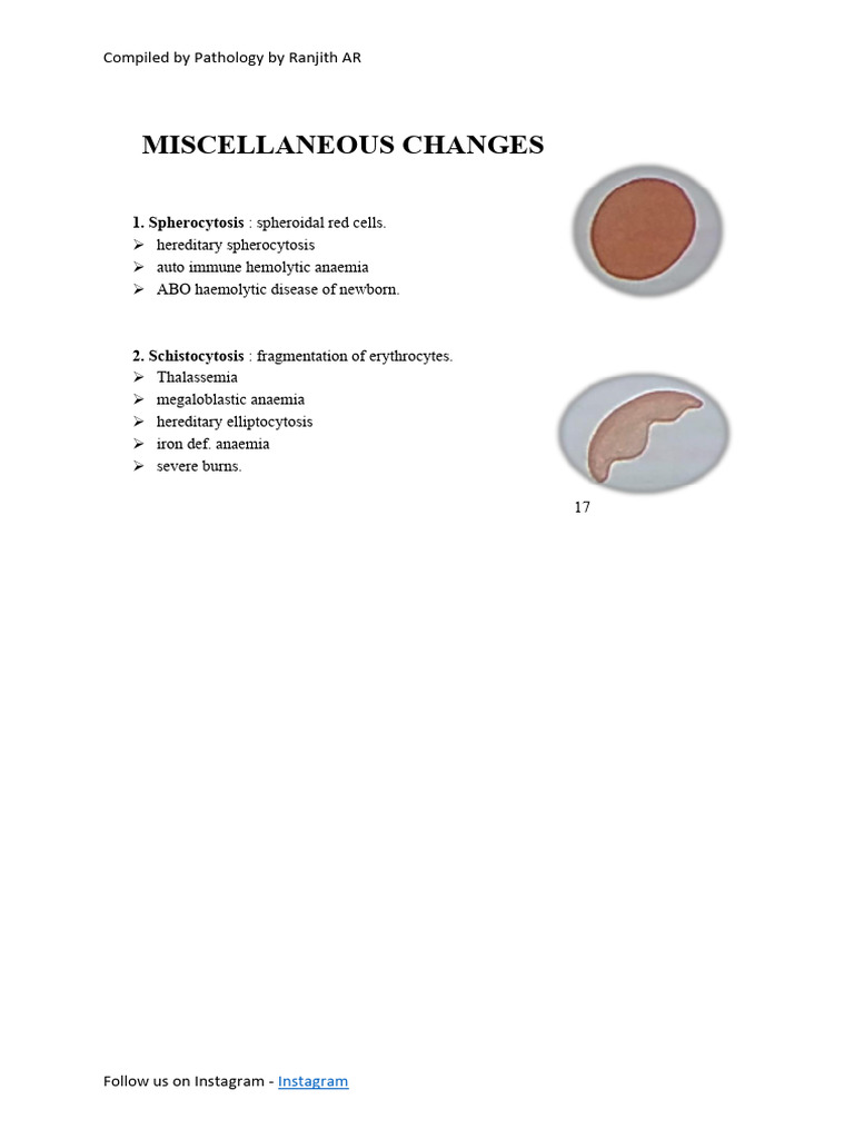 RBC | PDF | Anemia | Red Blood Cell