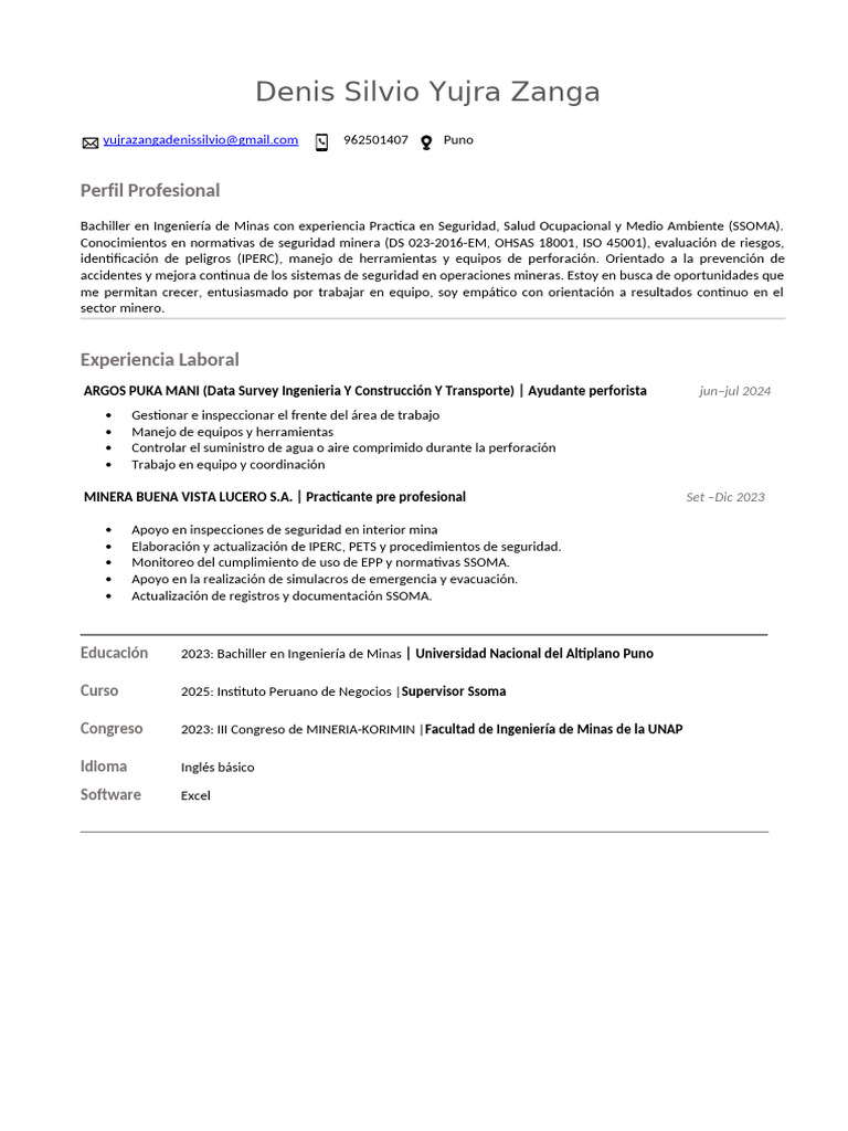 CV - DENIS YUJRA - v1 | PDF