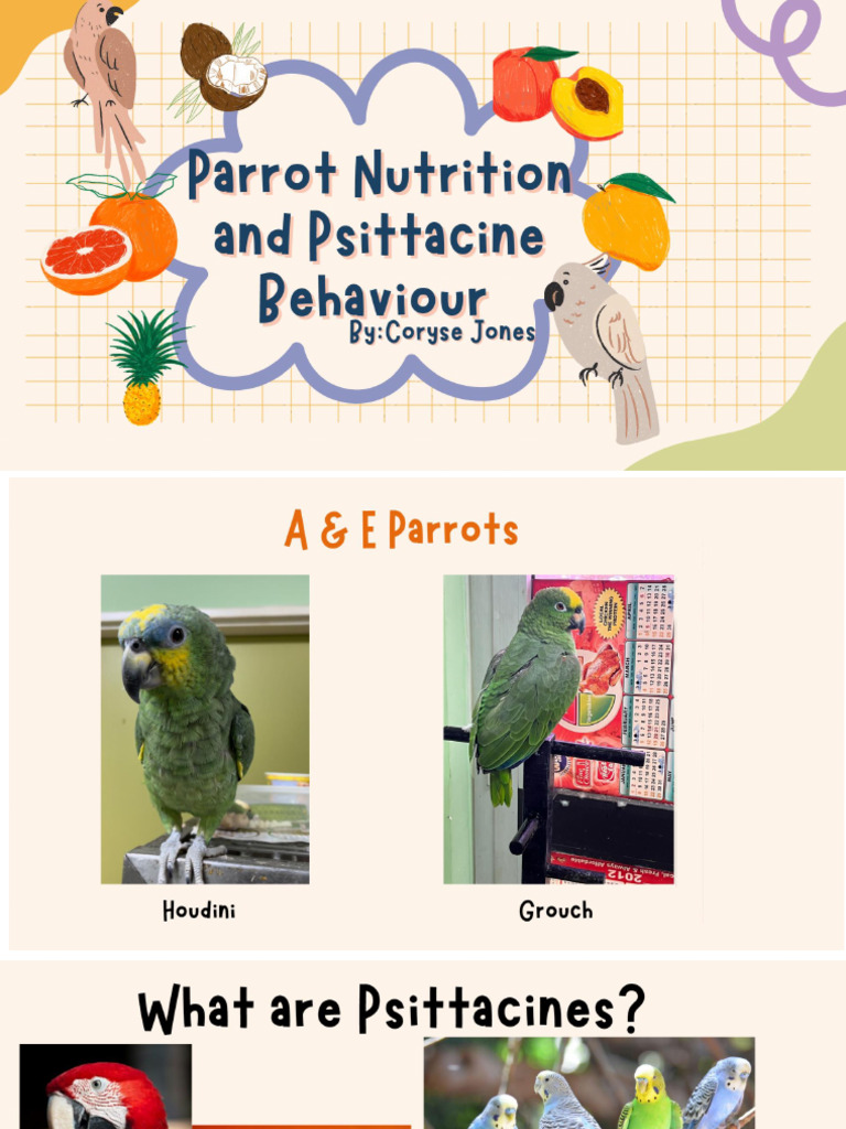 Psittacine Nutrion and Behaviour | PDF