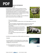 Ficha Técnica Del Pasto Guinea (Panicum Máximum Cv. Guinea Común) | PDF