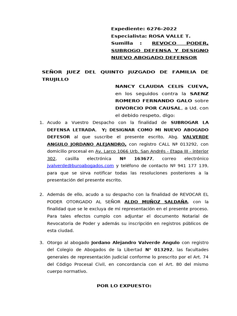 Apersonamiento - Nancy Claudia Celis Cueva 2024 - Divorcio Por Causal 2024 | PDF
