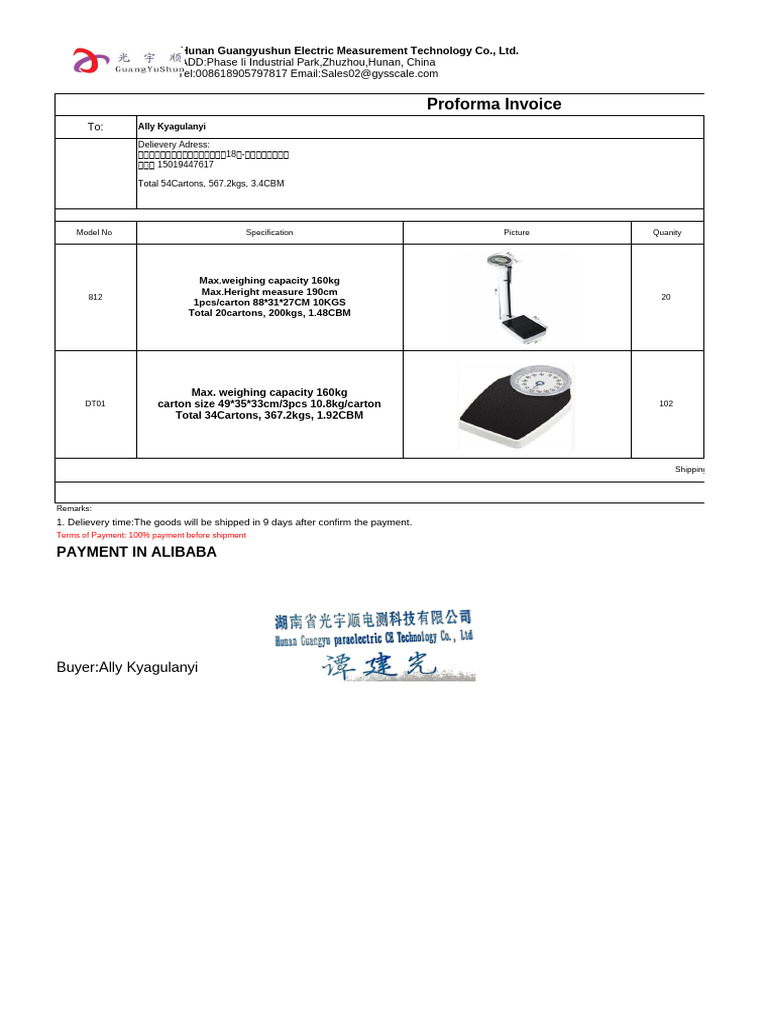 Alibaba Proforma Invoice Sample | PDF