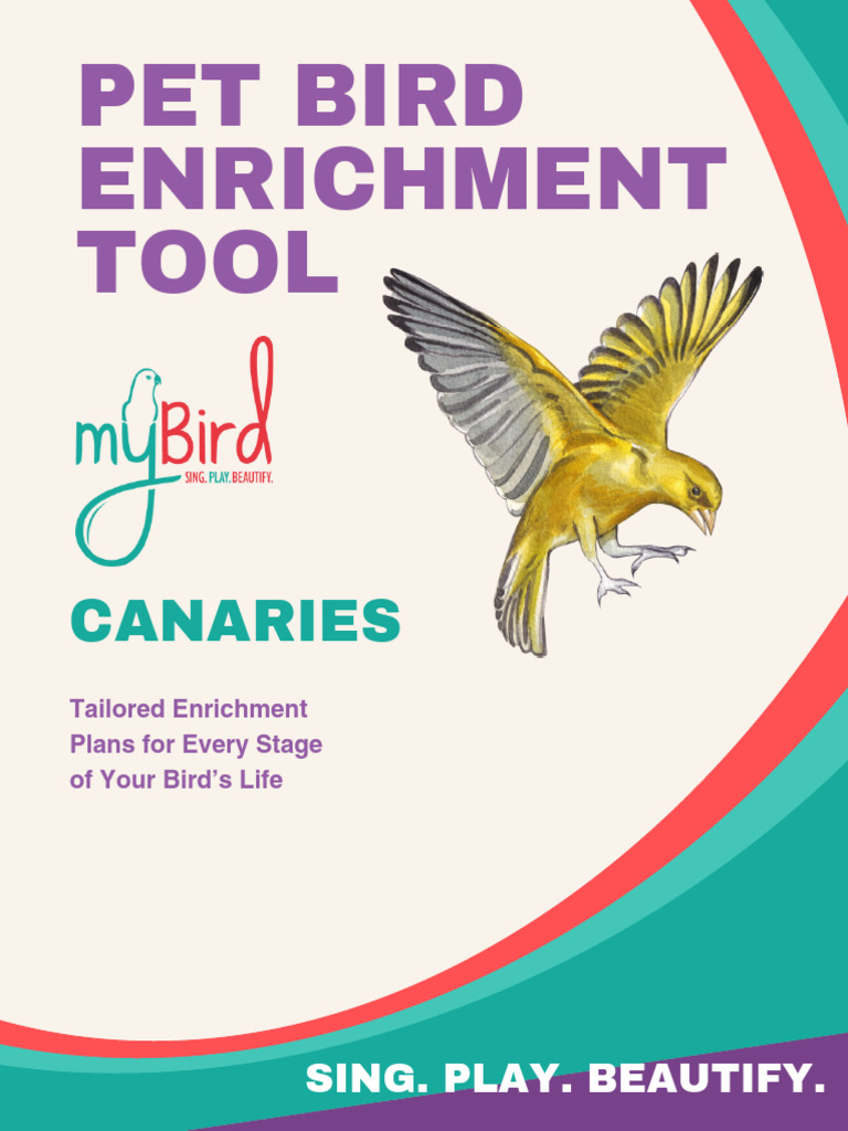 Mybird Bird Enrichment Tool Canary | PDF | Toys | Learning
