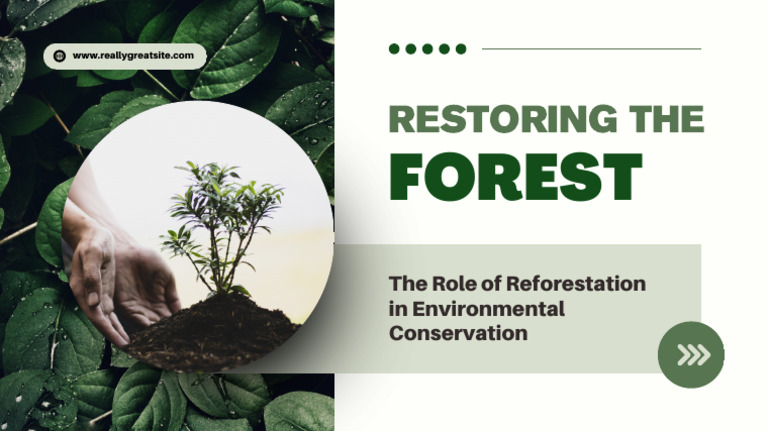 Reforestation's Impact on Conservation | PDF