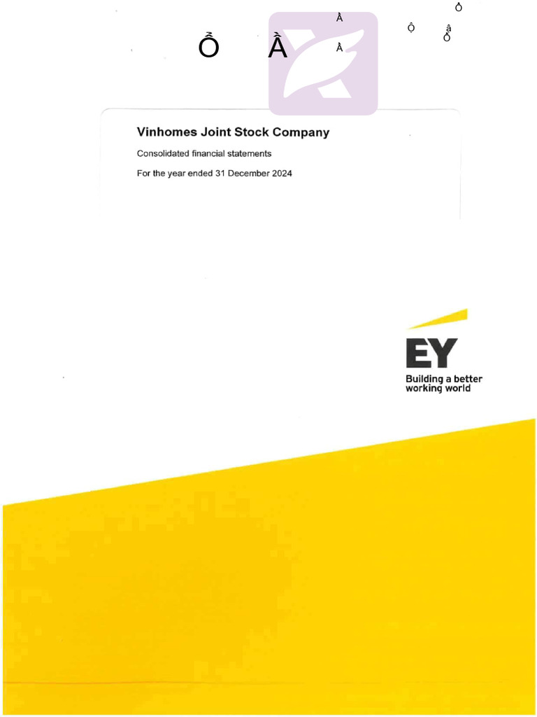 2024 Audited Consolidated Financial Statements | PDF