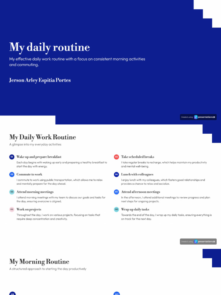My Daily Work Routine | PDF