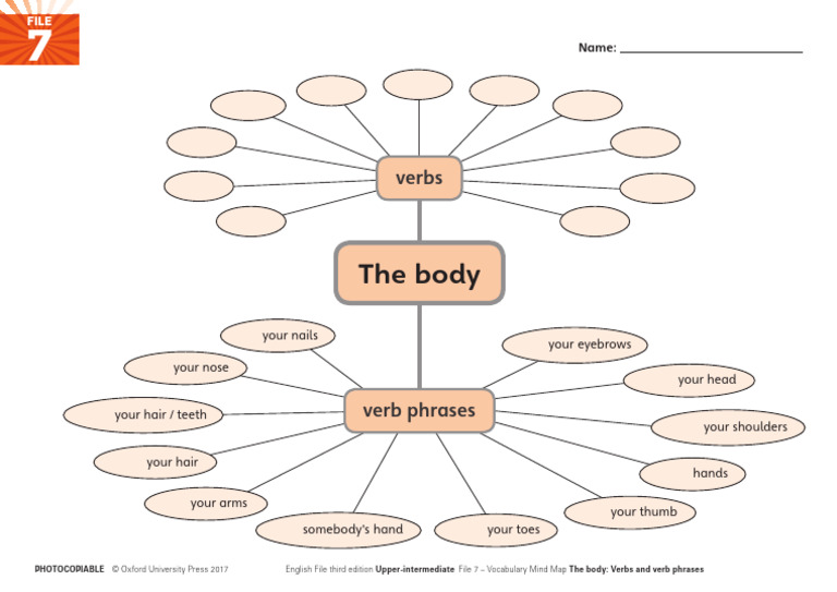 File 7 - Vocab - The Body - Verbs and Verb Phrases - Practice-Unlocked ...