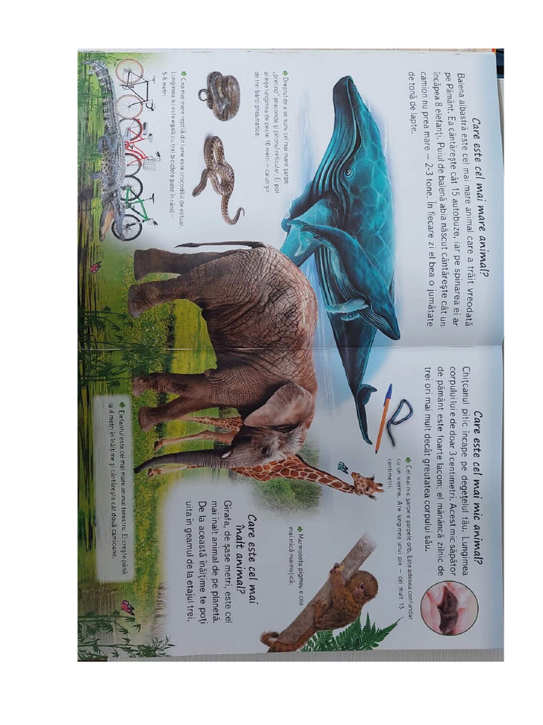 Care Este Cel Mai Mic Animal | PDF