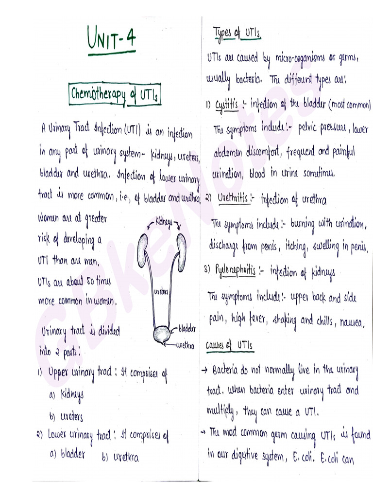 Unit 4 Pharmacology 3,6th Sem - Rotated | PDF