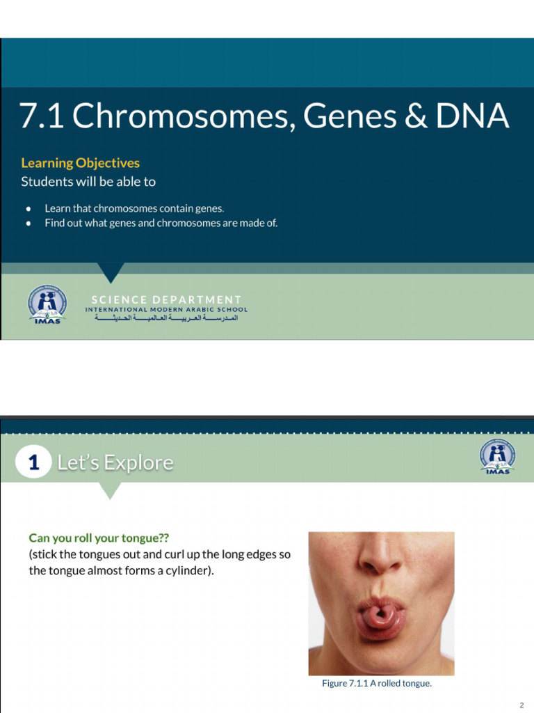 7.1 Chromosomes, Genes, and DNA | PDF