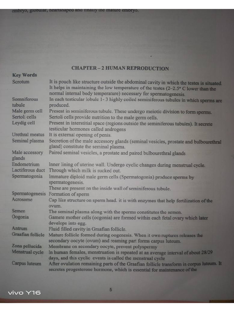 Human Reproduction | PDF