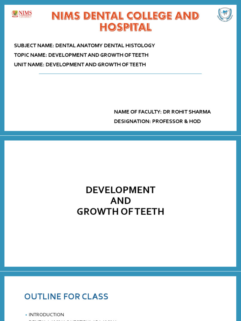 Development and Growth of Teeth-1 | PDF | Human Tooth | Mouth