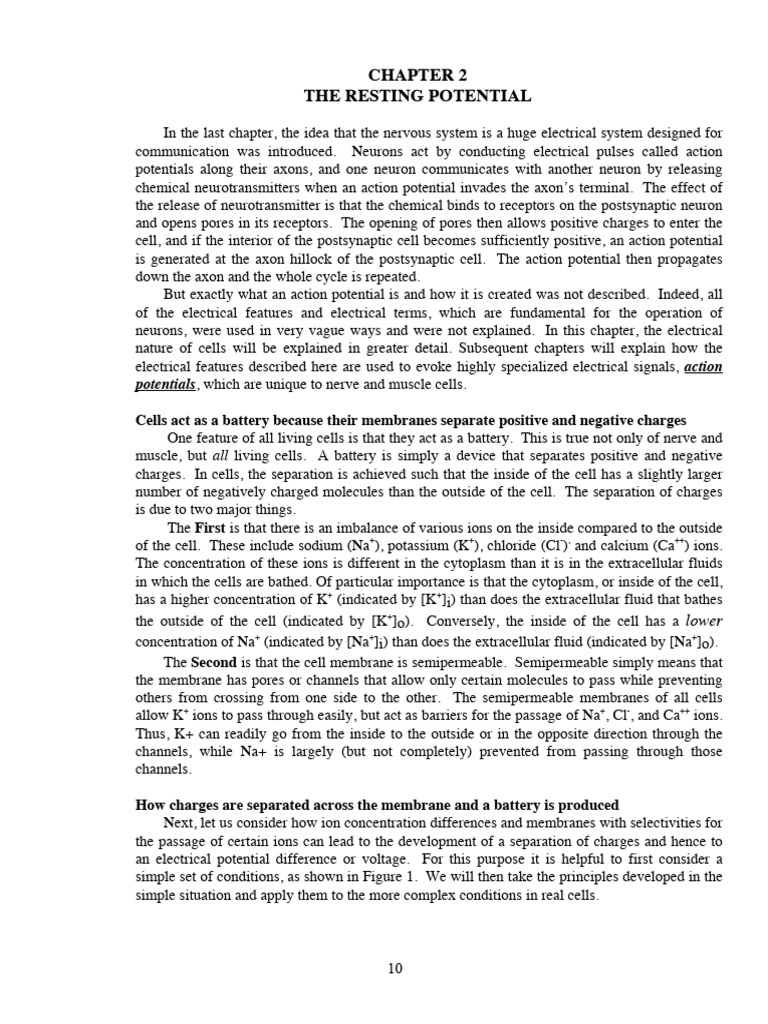 Understanding Resting Potential in Neurons | PDF | Membrane Potential ...