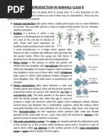 CLASS 8 Chapter 6 Reproduction in Animals | PDF | Sexual Reproduction ...