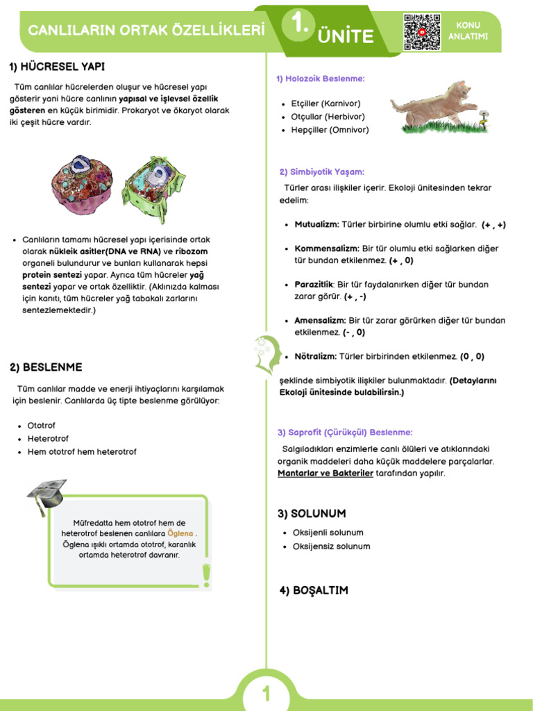 TYT BİYO FUL TEKRAR (220 X 297 MM) Kopyası2 | PDF