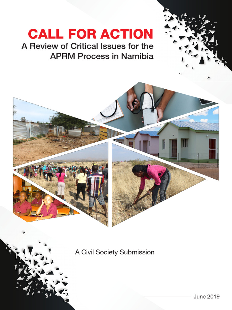 APRM Report Final Draft | PDF | Economies