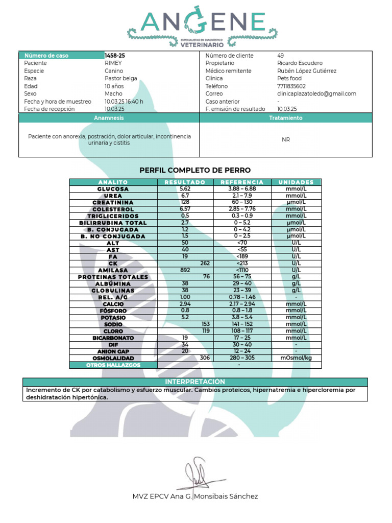 Perfil Clínico de Perro Rimey | PDF