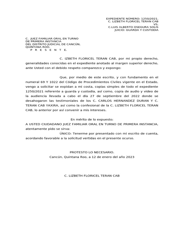 Copias Simples | PDF