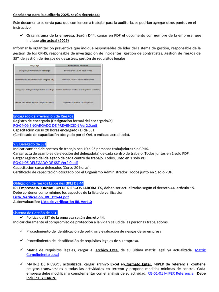 D44 Auditoria 2025 | PDF