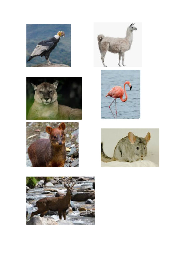 Animales de Ciencias | PDF